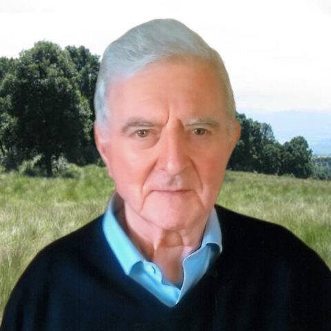 Rouwberichten - Van Vijle